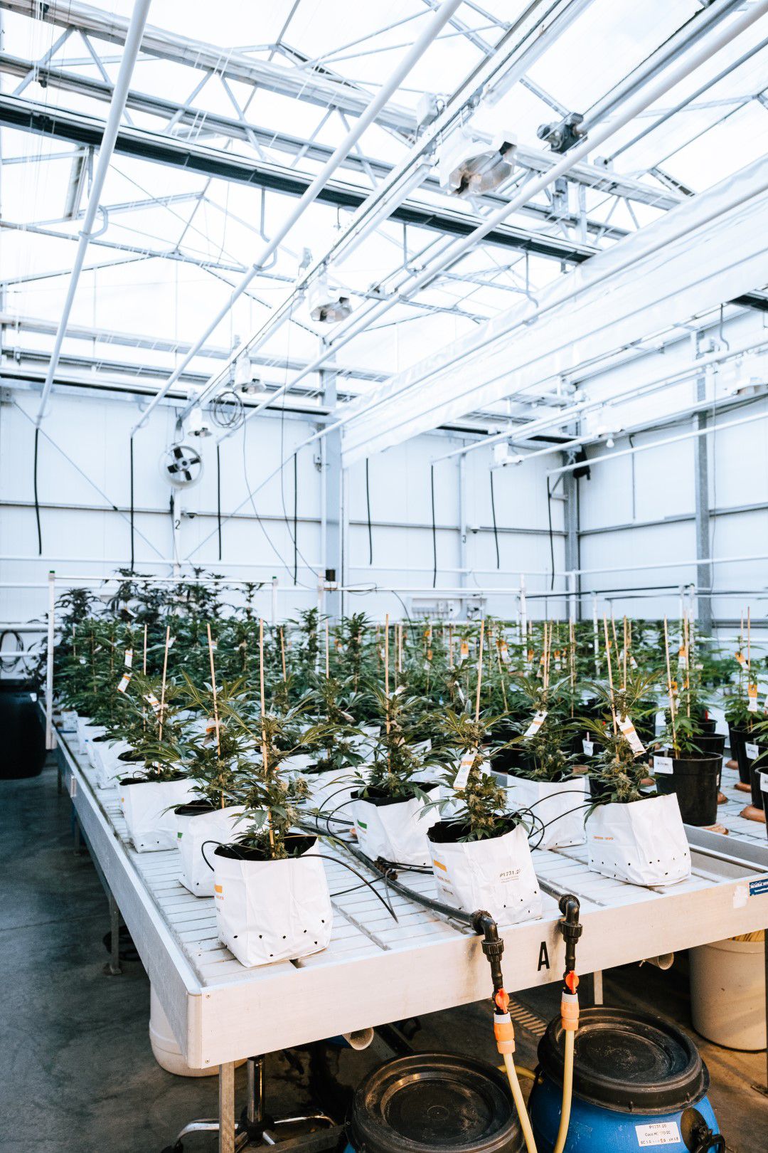 Research - PlantResearch